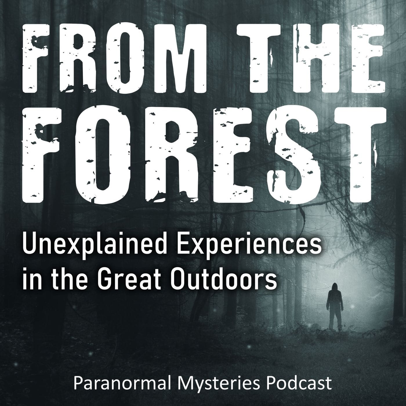 240: From The Forest - Ch 9: Strange Creatures, Shadow People in the ...