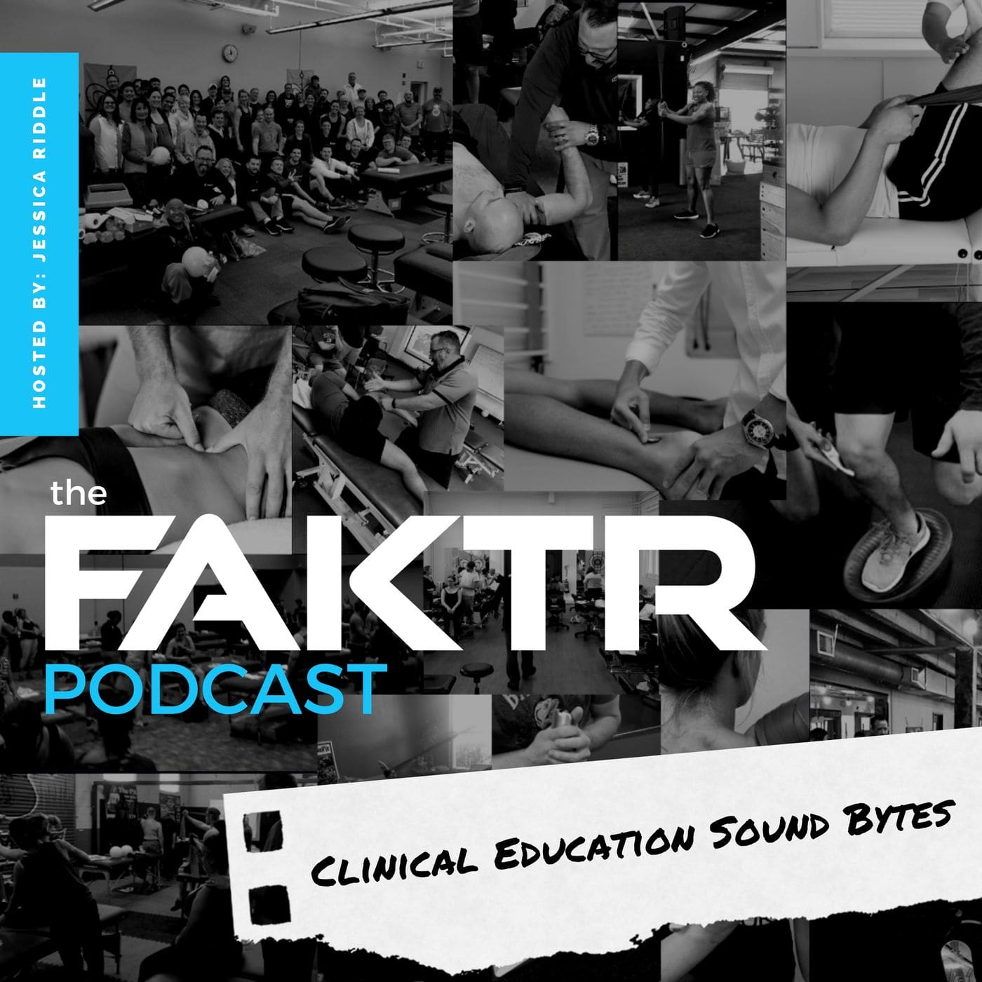 Episode 97: Exploring the 5 Element Theory with Dr. Andria D’Amato, Part 1 | The FAKTR Podcast ...