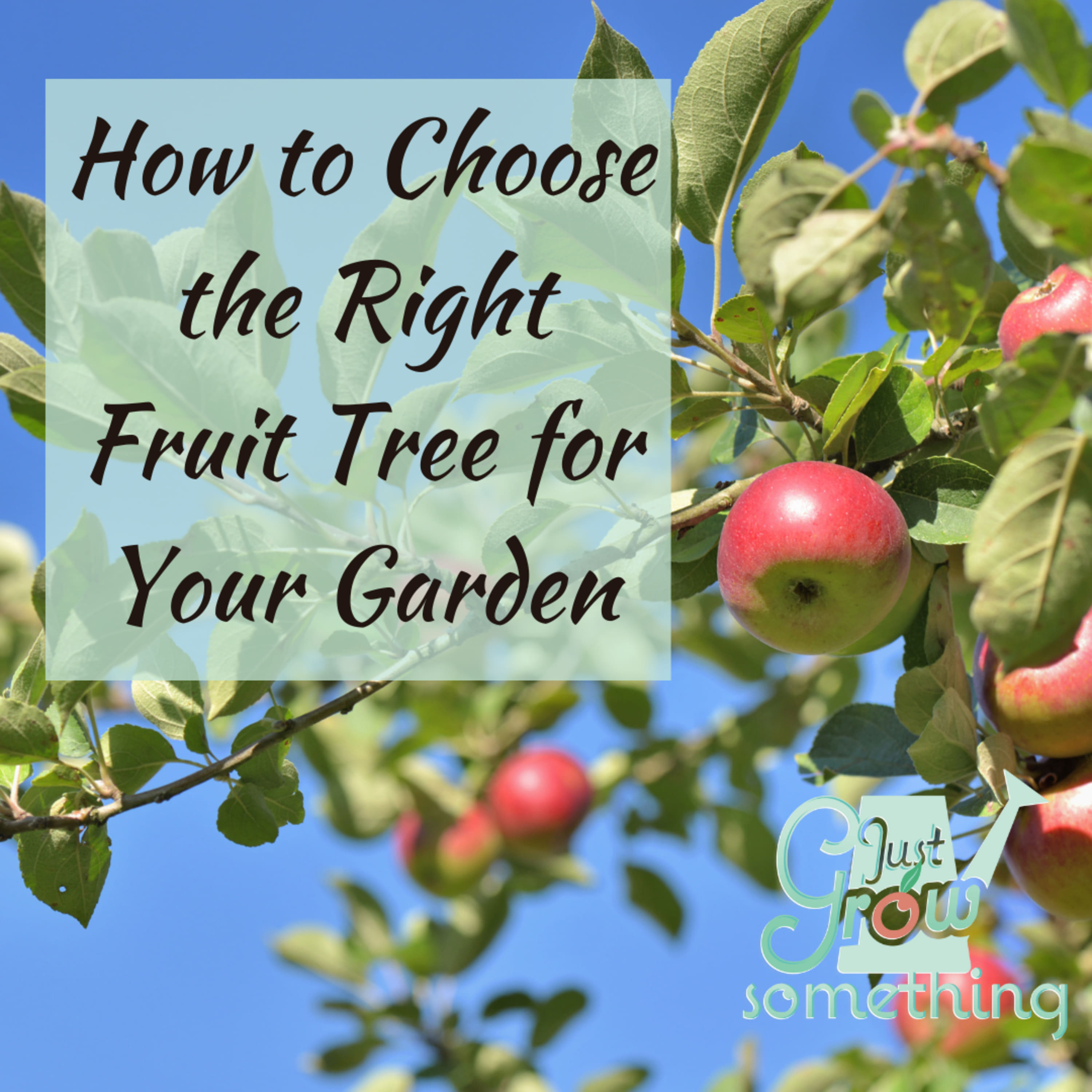 Ep. 103 - How to Choose the Right Fruit Tree for Your Garden | Just ...