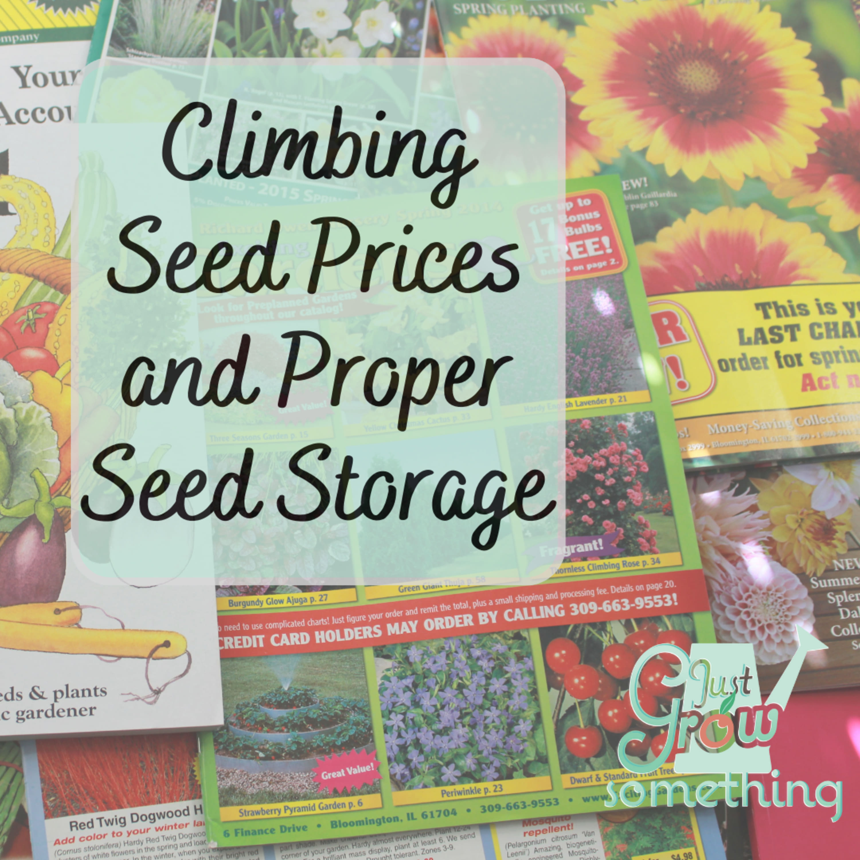 Climbing Seed Prices and Proper Seed Storage - Ep. 173 | Just Grow ...