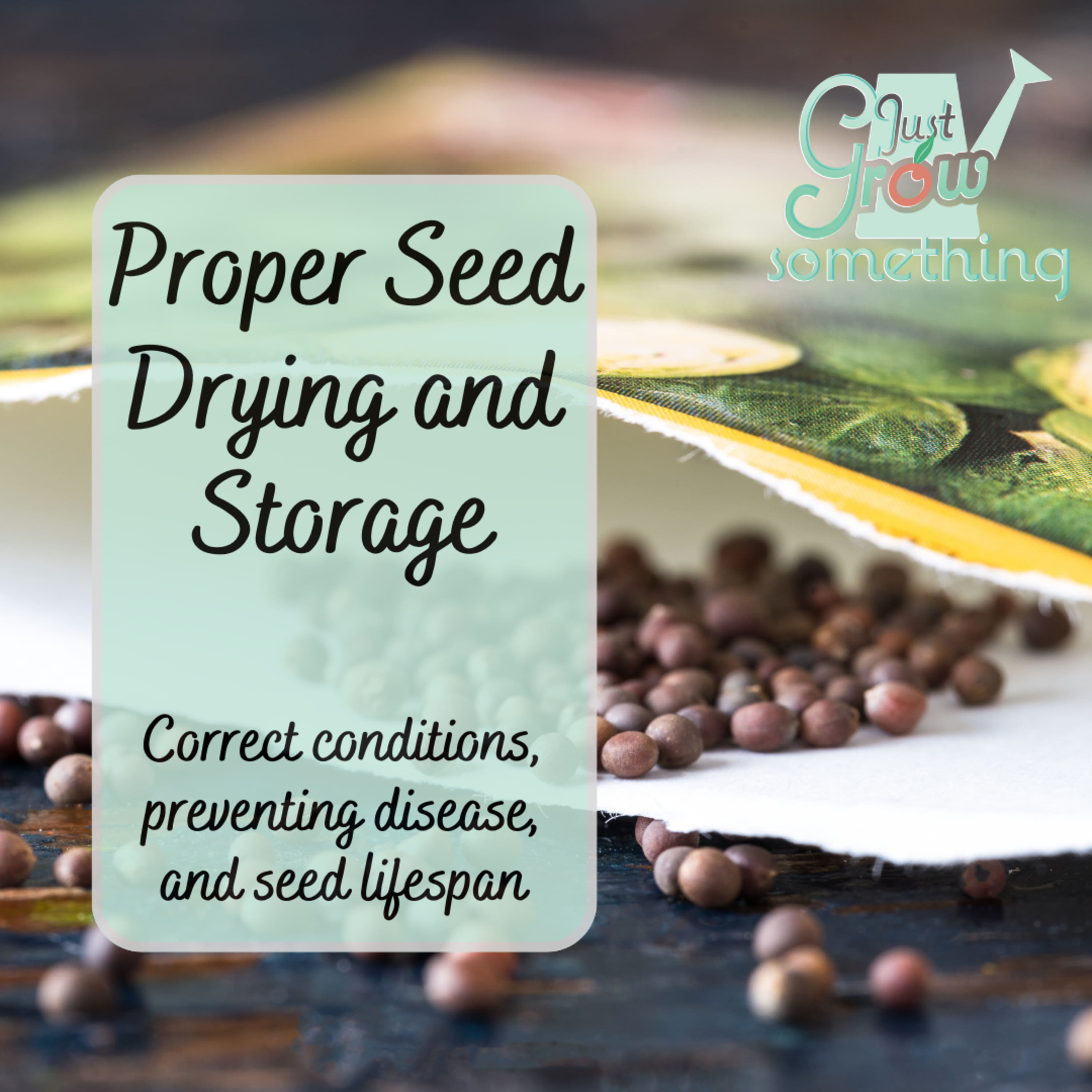 Proper Seed Drying and Storage - Ep. 216 | Just Grow Something with ...