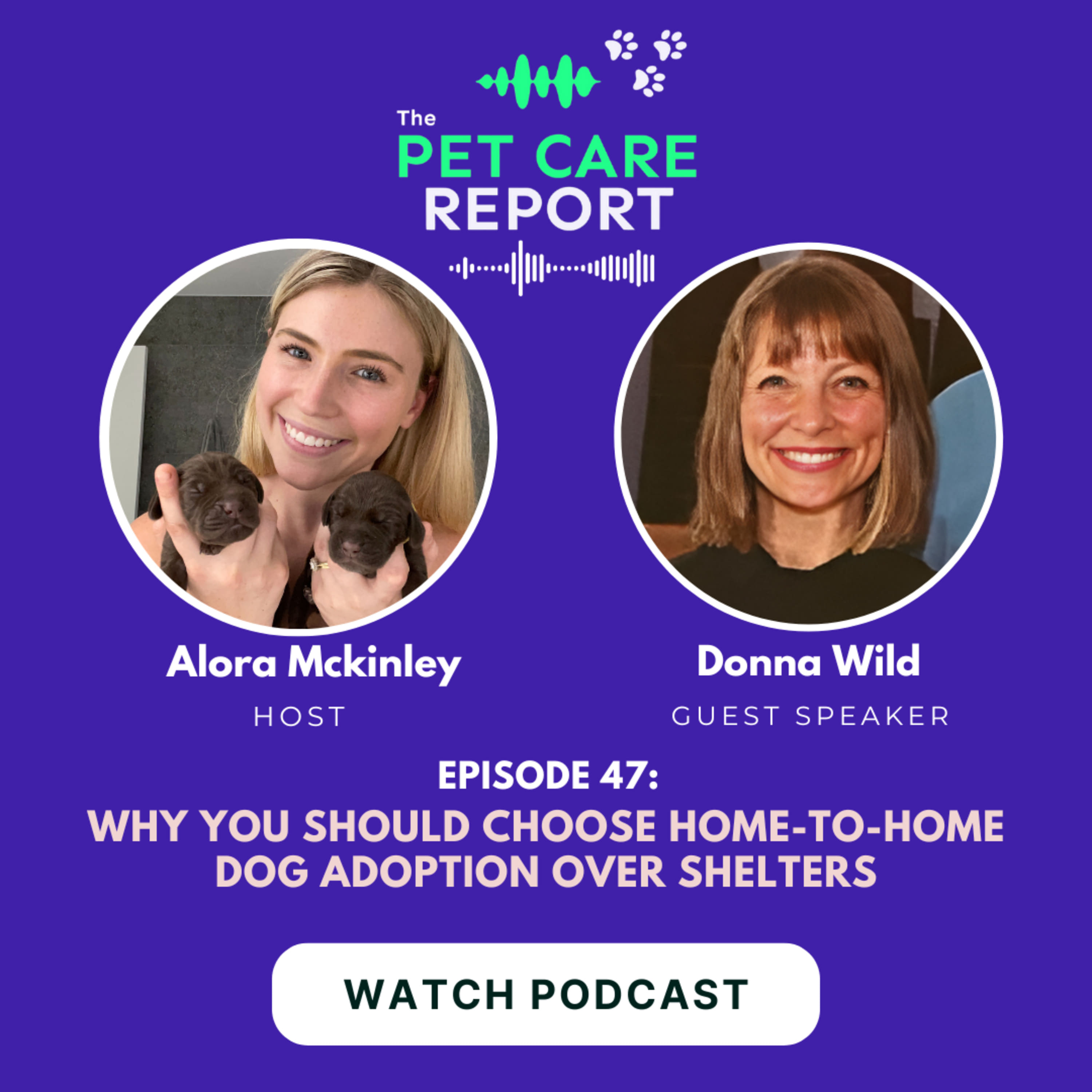Donna Wild: Why You Should Choose Home-to-Home Dog Adoption Over ...