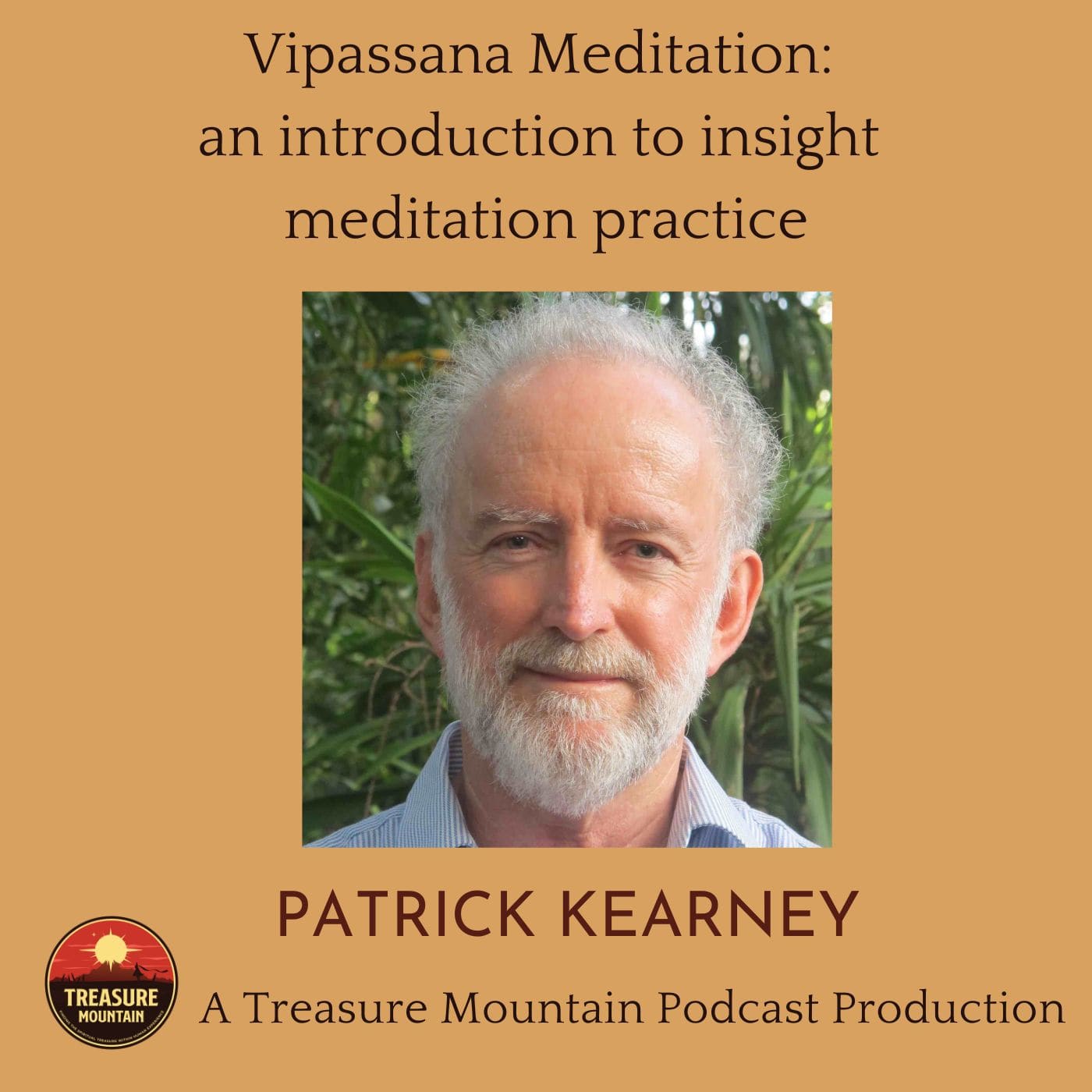 Vipassana Meditation: an introduction to insight meditation practice | Patrick Kearney | Quality ...