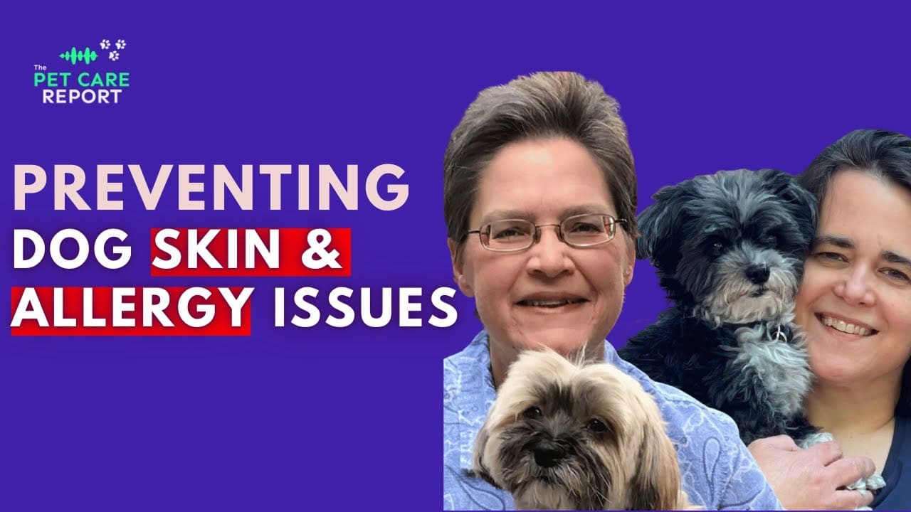 Preventing Dog Skin & Allergy Issues | The Pet Care Report Podcast | By ...