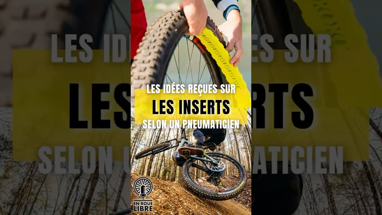 Vous vous posez des questions sur les inserts?Toutes vos réponses sont ...