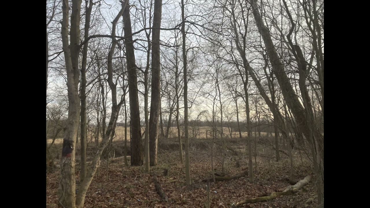 The Burger Chef Murders: The Murder Sheet Episode #4: "You Never Can ...