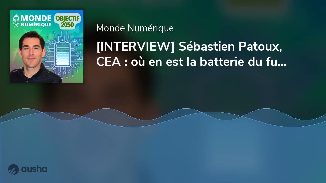 [INTERVIEW] Sébastien Patoux, CEA : où en est la batterie du futur à ...