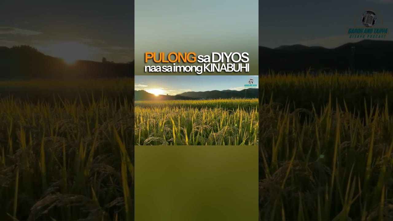 Kumpisal ug Pagtubo: Ang Binhi sa Pagtuo sa Imong Kasingkasing ...