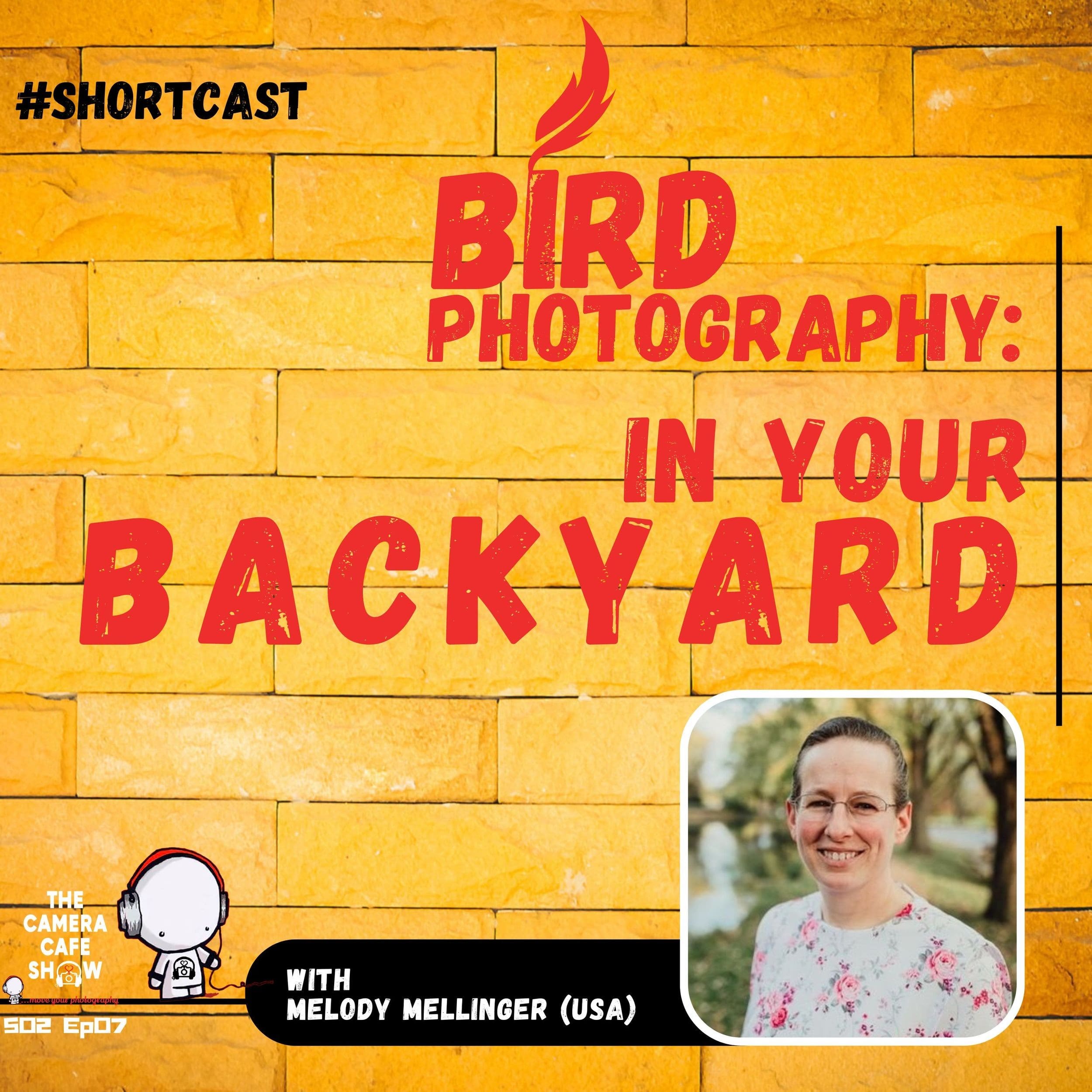 The Camera Cafe Show | "Bird Photography: In Your Backyard" | Move Your ...