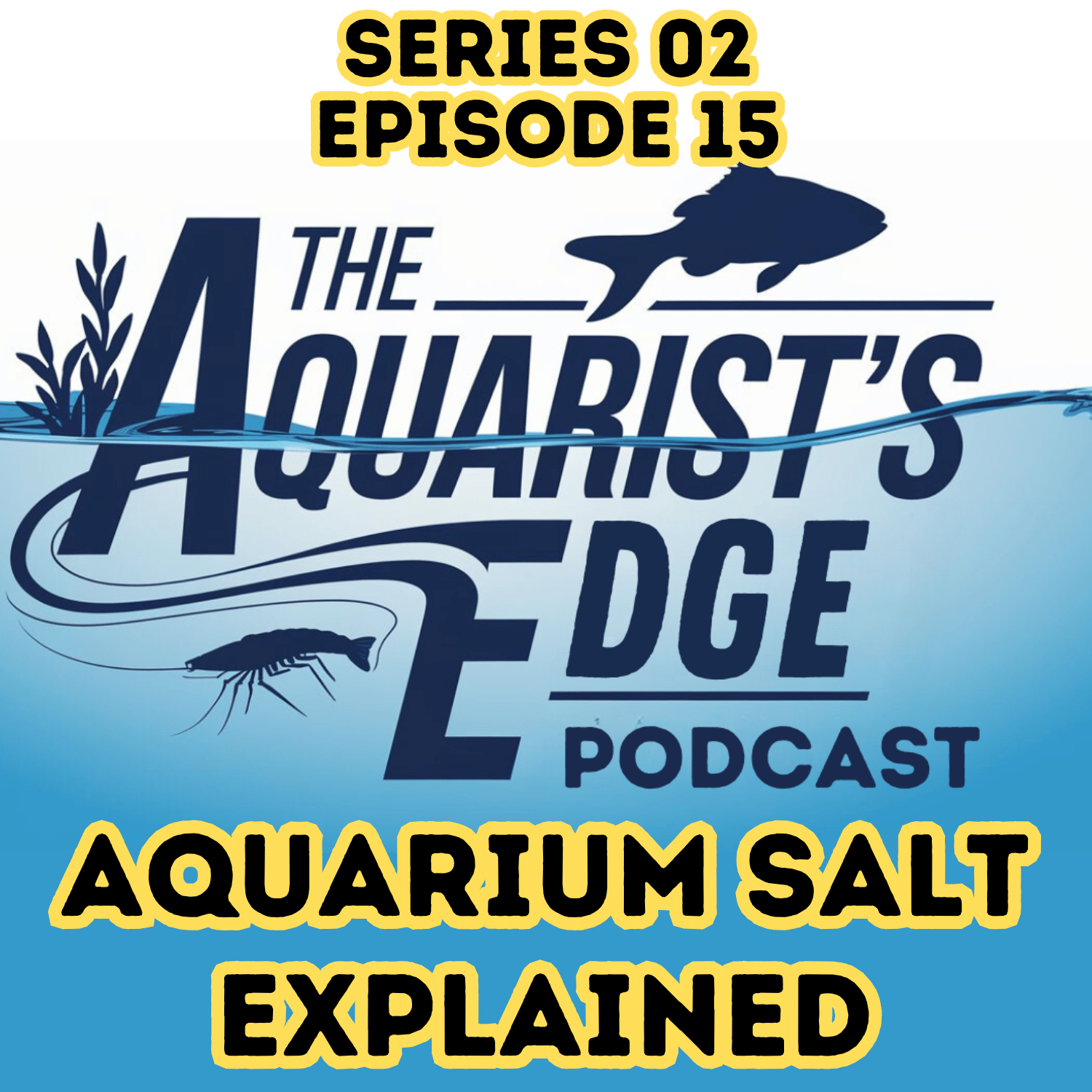 Aquarium Salt Explained - Hidden Benefits, Dangerous Myths, How To Use ...