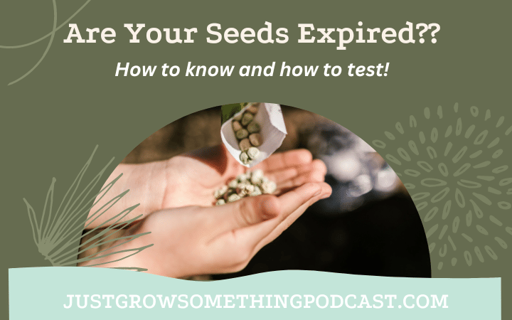 Do Seeds Expire? | Just Grow Something with Karin Velez