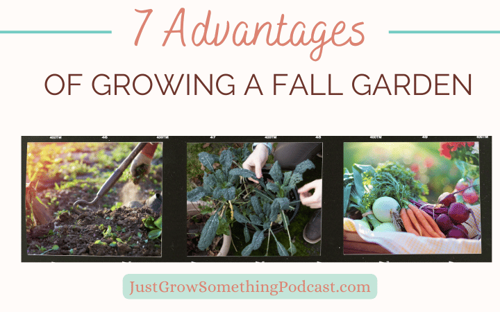 Why You Should Grow a Fall Garden | Just Grow Something with Karin Velez