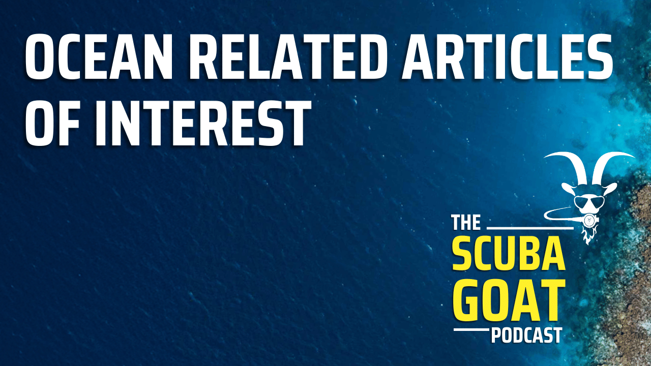 Scuba diving blogs related to The Scuba GOAT Podcast | Scuba GOAT - The ...