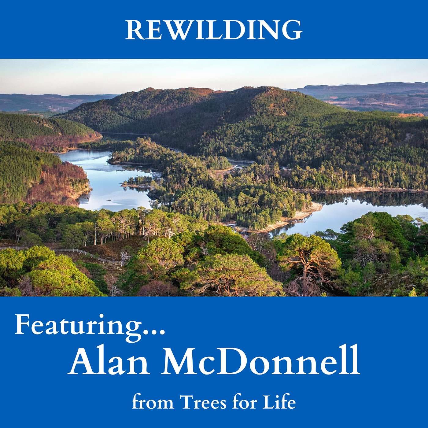EP 20: "Rewilding" with Alan McDonnell from Trees for Life | 63 Percent ...