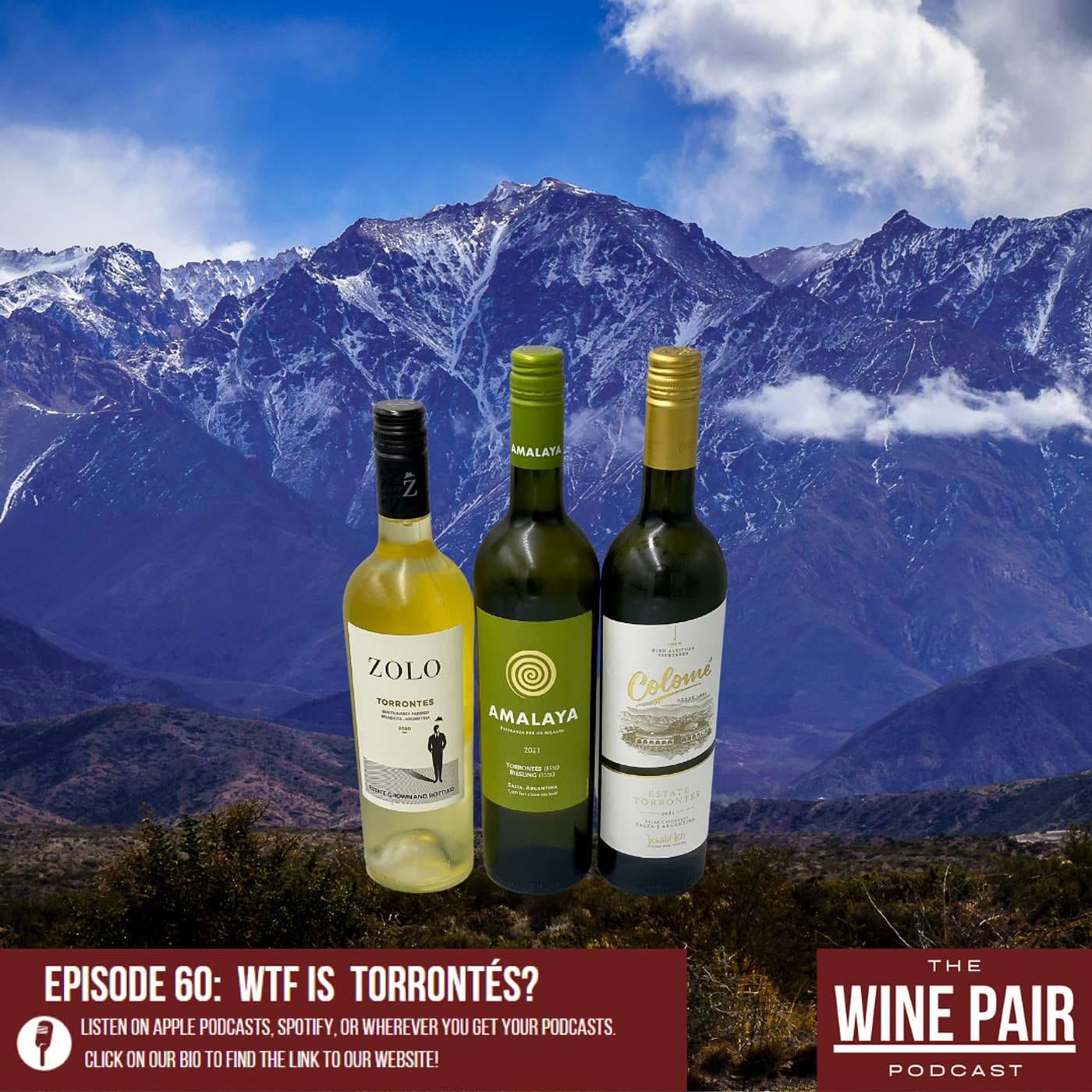 WTF is Torrontés? (Argentinian wine, high-altitude wines, wines for ...