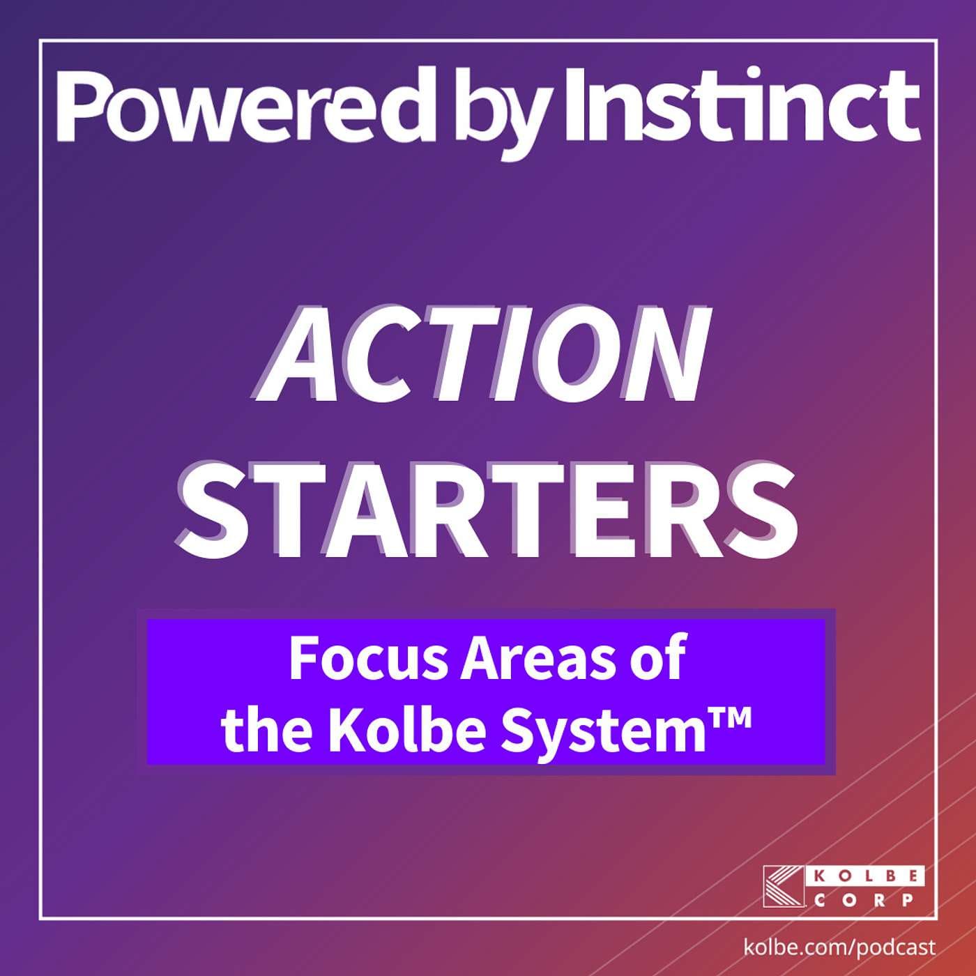 Action Starter: Focus Areas of the Kolbe System™ | Powered by Instinct ...