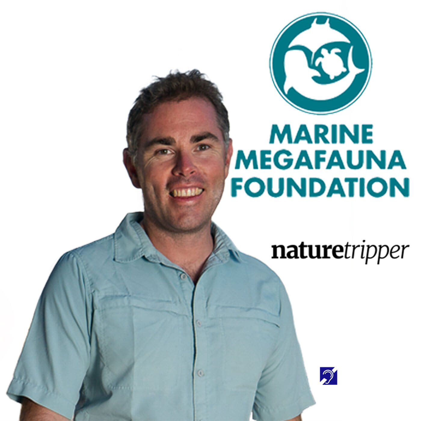 Dr Simon Pierce - Whale sharks | Scuba GOAT - The podcast for the ...