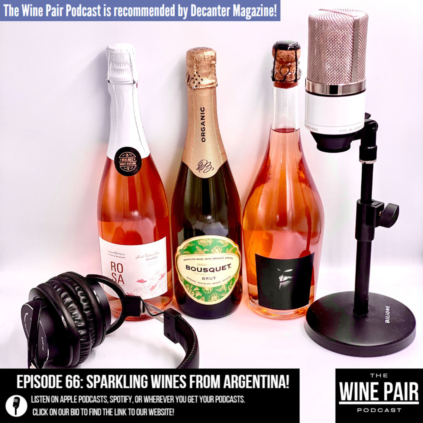 Sparkling Wines from Argentina! (Affordable high quality sparkling ...